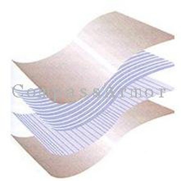Armored UHMWPE ballistic fabric - counter-terrorism, body armor & riot ...